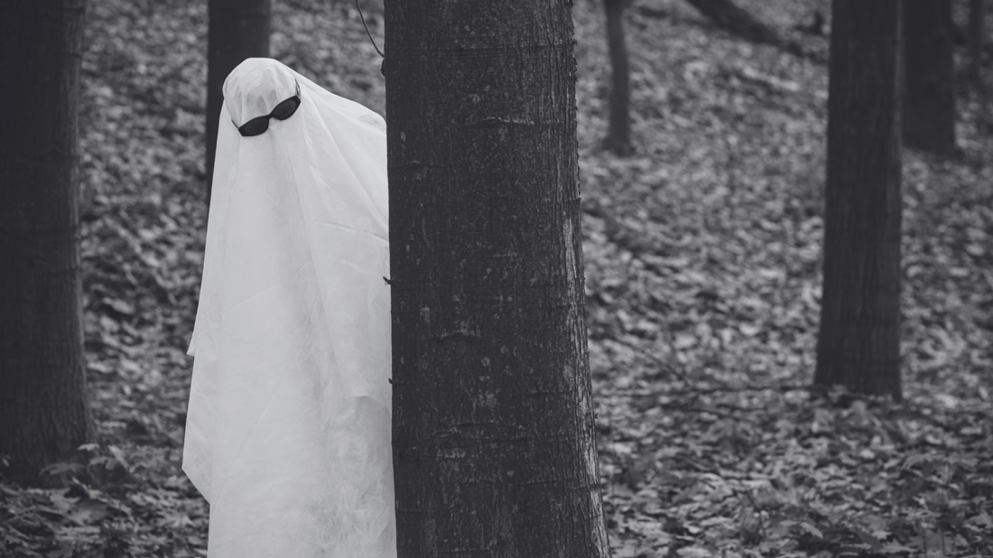 Wrong Turn Movies: A Comprehensive Guide to the Horror Franchise