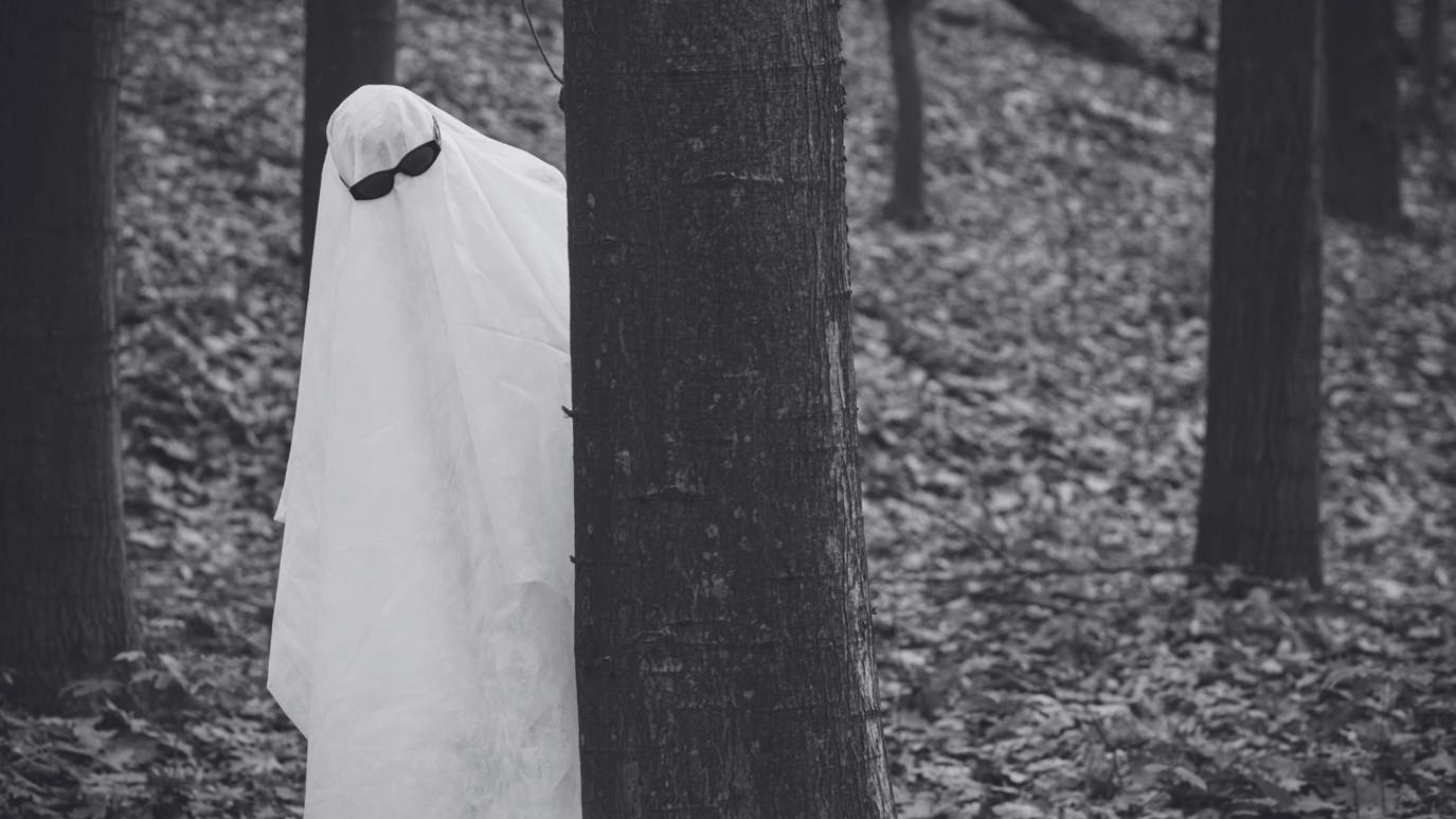 Why Does the Xenomorph from Alien Kill Humans?