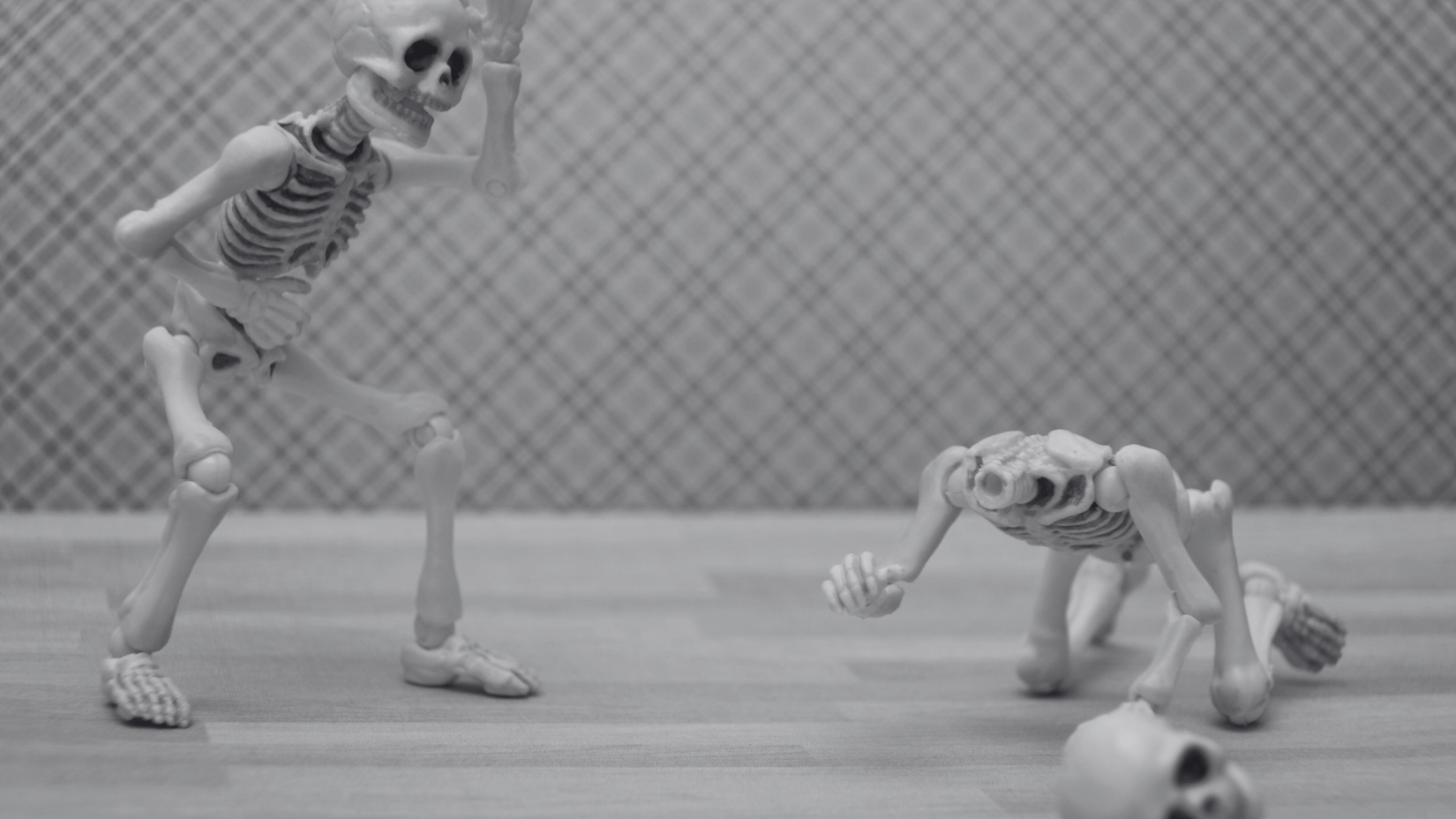 How to Describe Scared Body Language