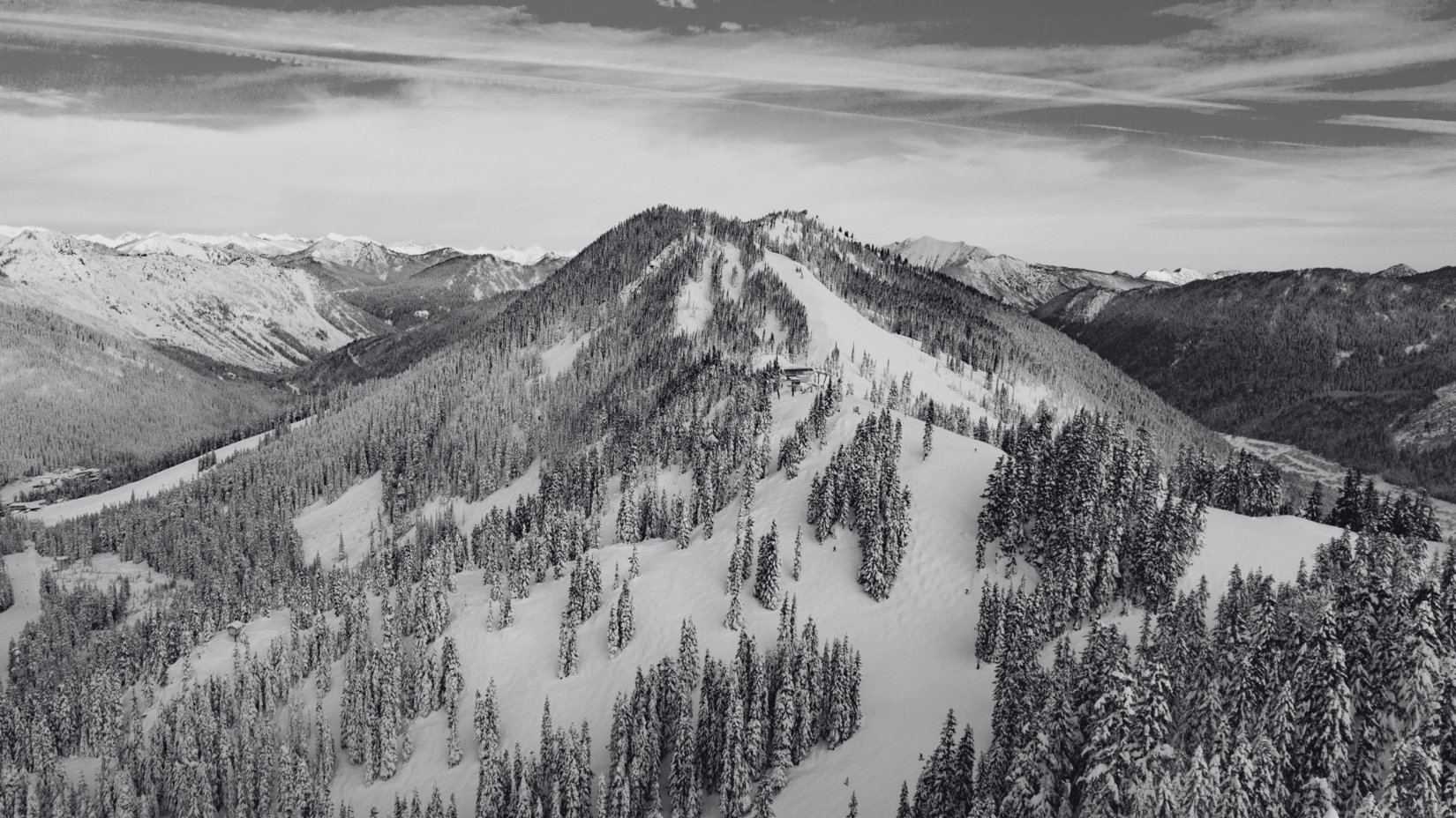 Why Does the Xenomorph from Alien Kill Humans?