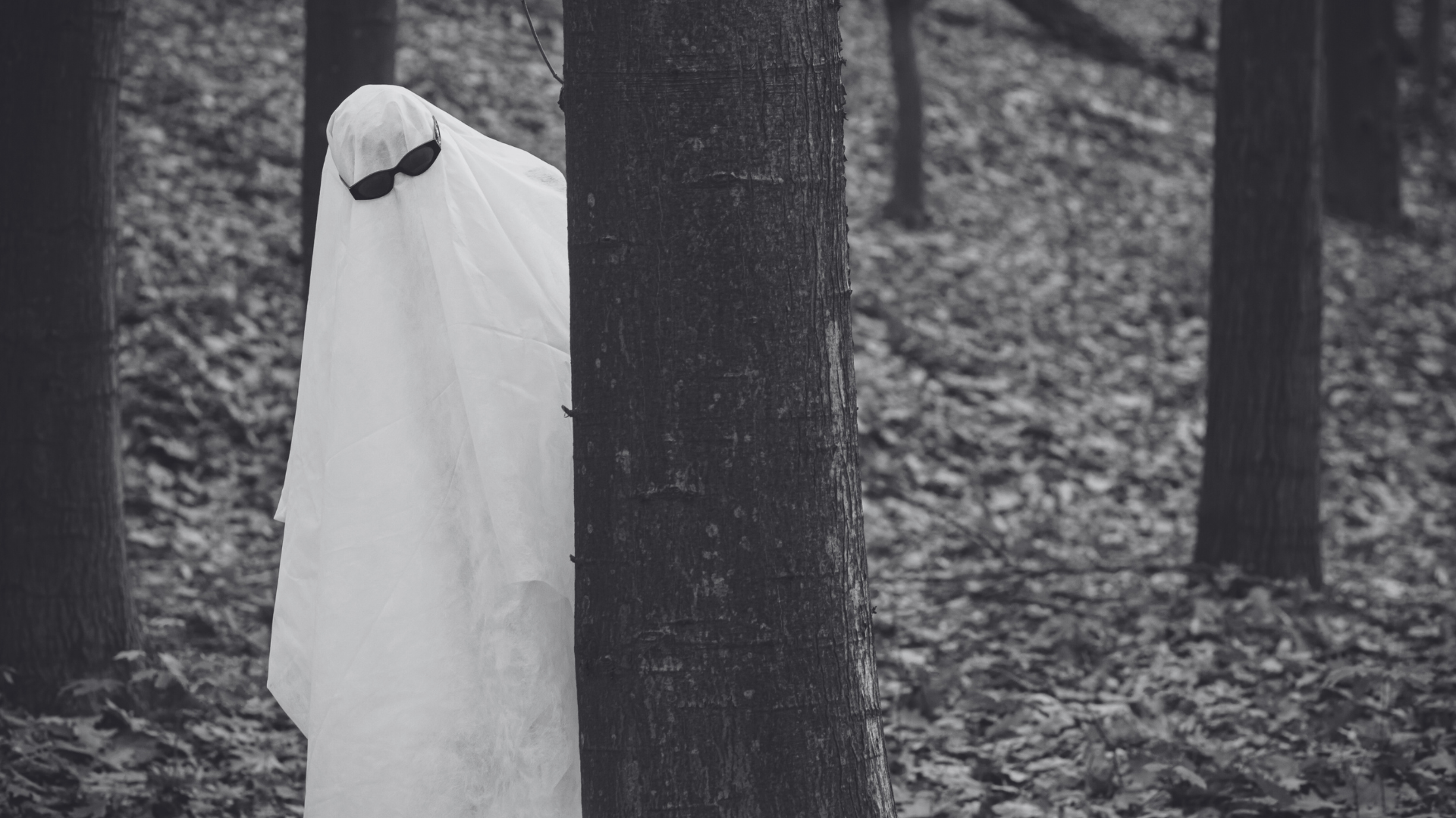 Why Do People Believe in Ghost Hunting: Understanding the Psychology ...